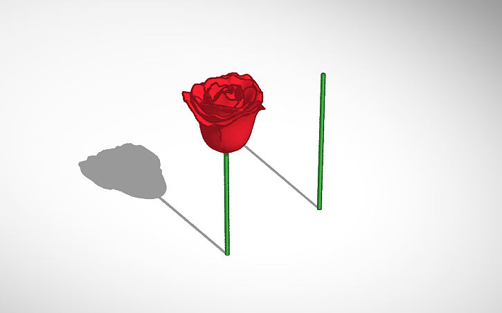 3D design rose - Tinkercad