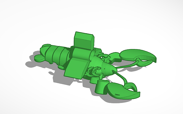 3D design Steve the lobster- Connor | Tinkercad