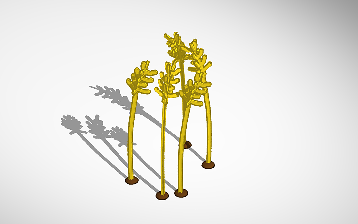 3D design wheat plant - Tinkercad