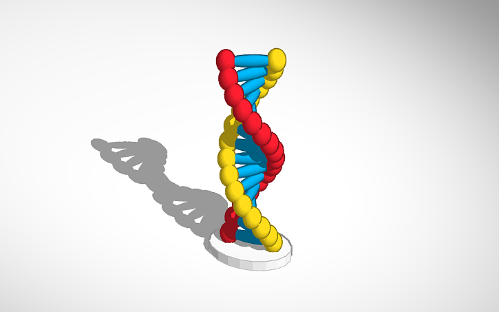 3D design DNA - Tinkercad