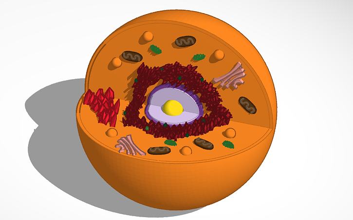 3D design Cell Modification PT - Tinkercad