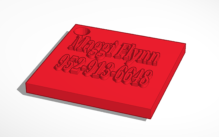 3D design Luggage Tag | Tinkercad