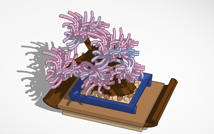 3D design bonsai tree - Tinkercad