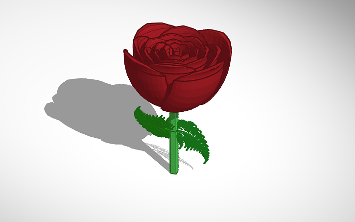 3D design rose - Tinkercad