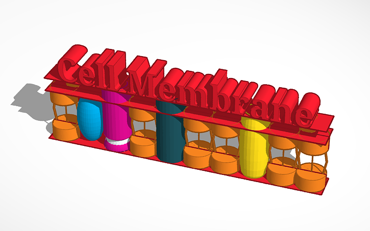 3D design Wesley Masons membrane School project | Tinkercad
