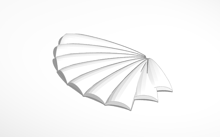 3D design How to Create a Clam Shell - Tinkercad