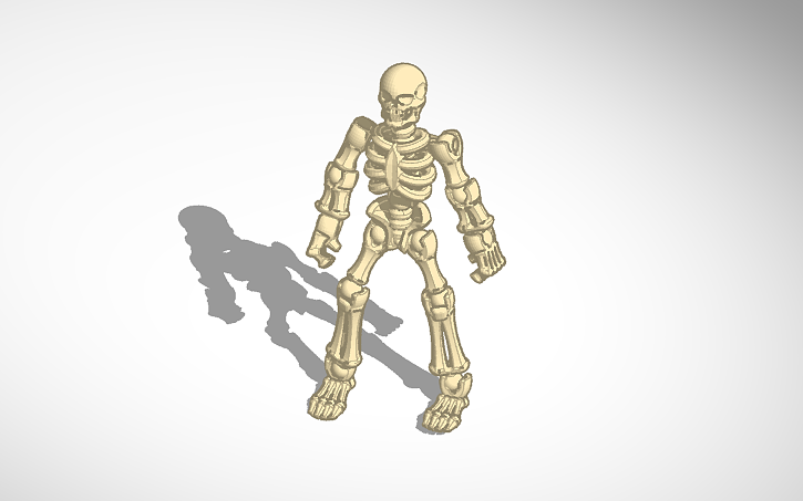 3D design Skeleton | Tinkercad