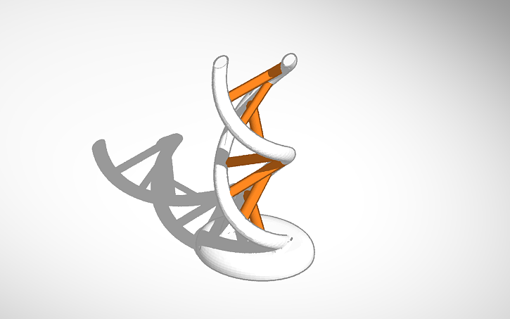 3D design Steven Saunders - Tinkercad