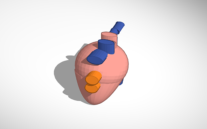 3D design human heart - Tinkercad