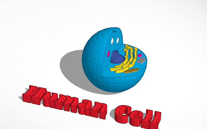 3D design Human Cell - Tinkercad