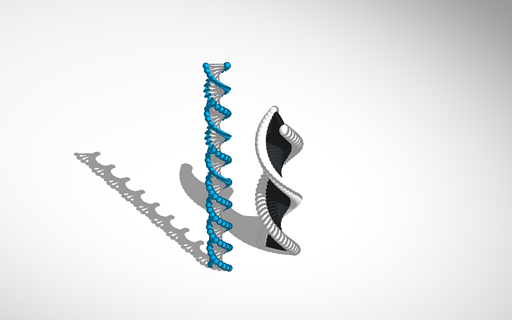 3D design dna - Tinkercad