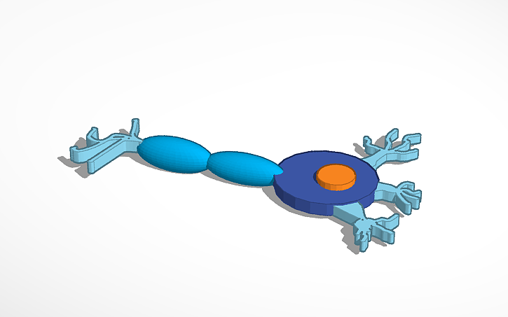 3D design Neuron Cell | Tinkercad