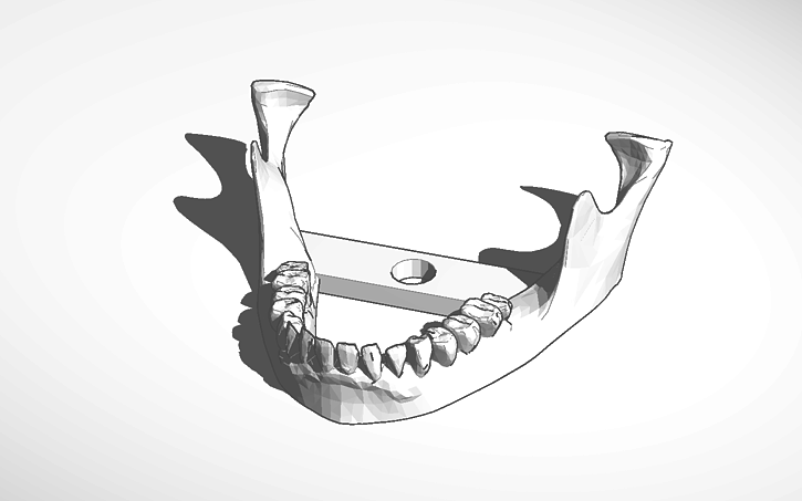 3D design Longer Bottom Mandible with Better Teeth and Rubber Band ...