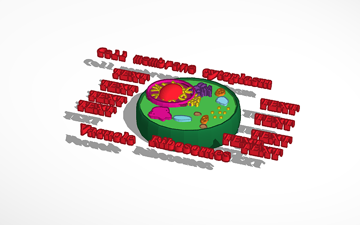 3D design jordon T animal cell | Tinkercad