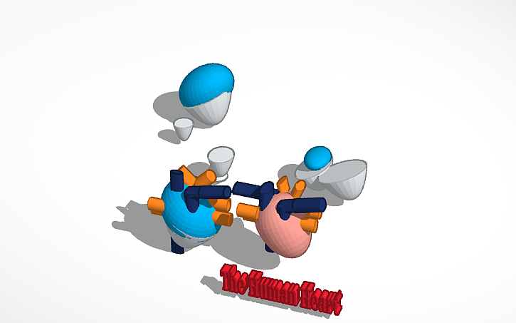 3D design Lesson 13: The Human Heart - Tinkercad