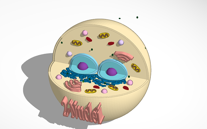3D design god cell | Tinkercad