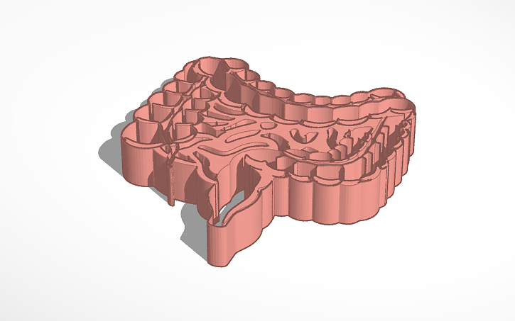 3D design Intestino - Tinkercad