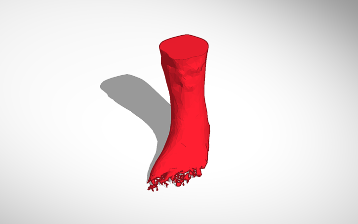3D design Human Foot - Tinkercad
