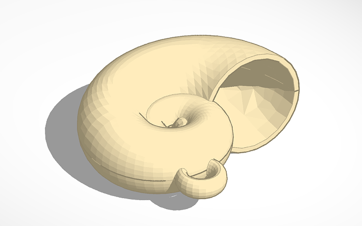 3D design Seashell keychain - Tinkercad