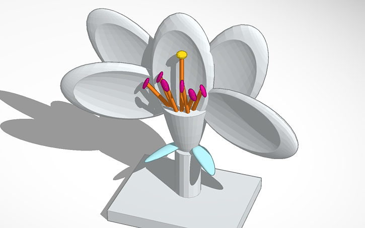 3D design Parts of a flower | Tinkercad