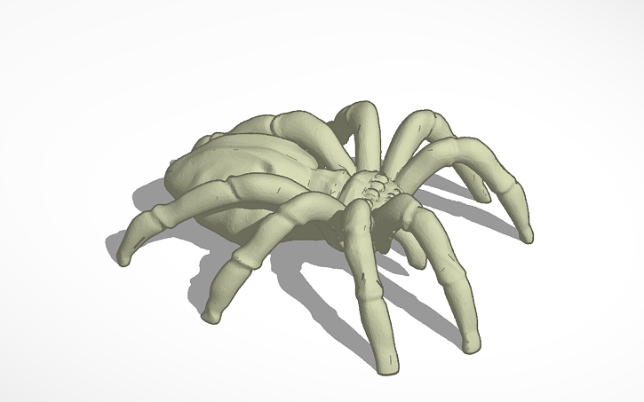3D design Spider - Tinkercad