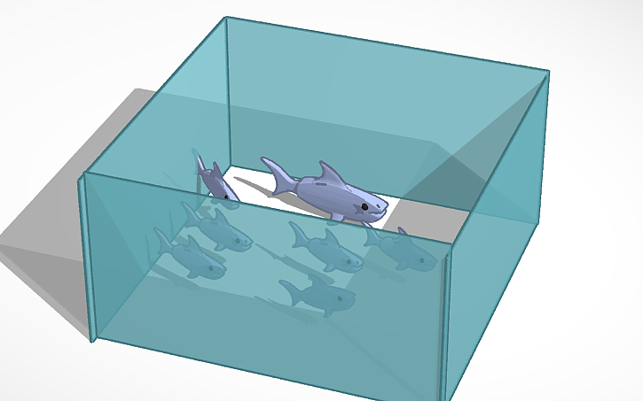 3D design fish tank - Tinkercad