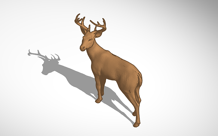 3D design Deer - Tinkercad