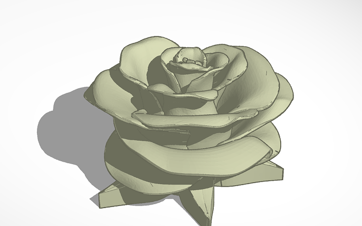 3D design petals - Tinkercad
