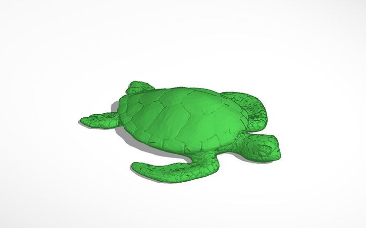 3D design Sea Turtle - Tinkercad