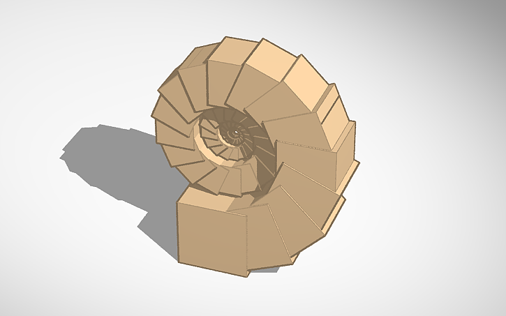 3D design Snail shell - Tinkercad