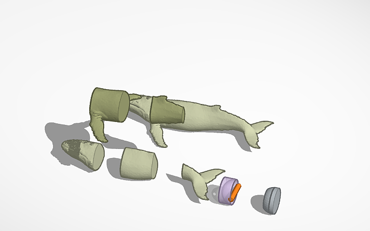 3D design Humpback Whale V1 - Tinkercad