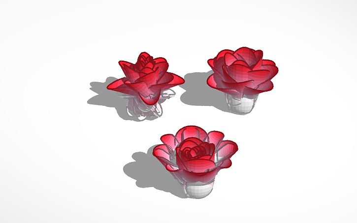 3D design flowers - Tinkercad