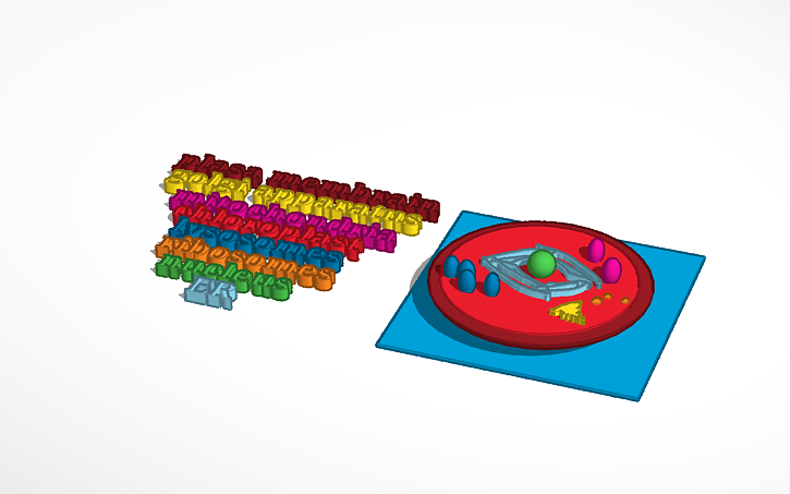 3D design Animal cell - Tinkercad