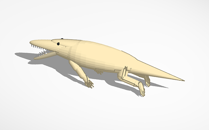 3D design Ambulocetus - Tinkercad