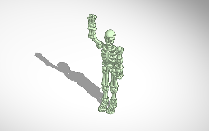 3D design The human Skeleton | Tinkercad