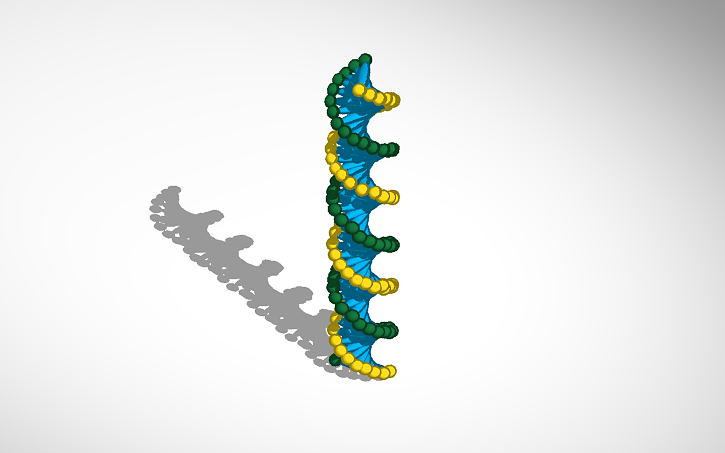 3D design DNA - Tinkercad