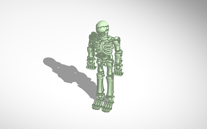 3D design Skeleton | Tinkercad