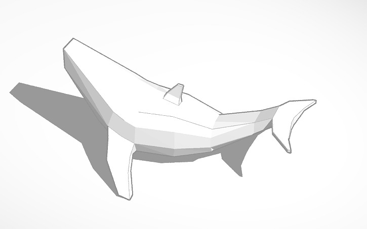 3D design Whale - Tinkercad