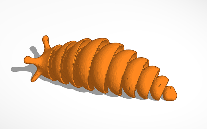 3D design slug figet - Tinkercad