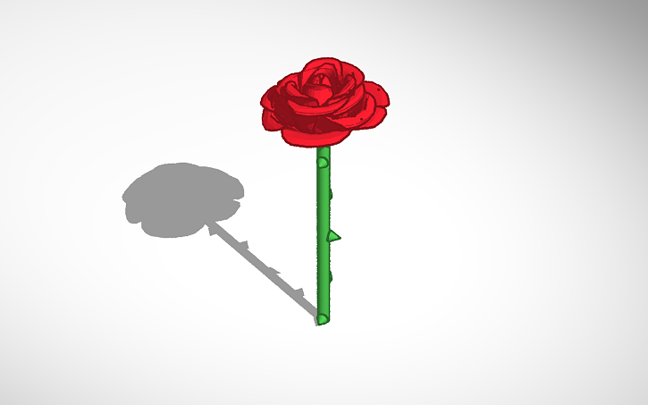 3D design rose - Tinkercad