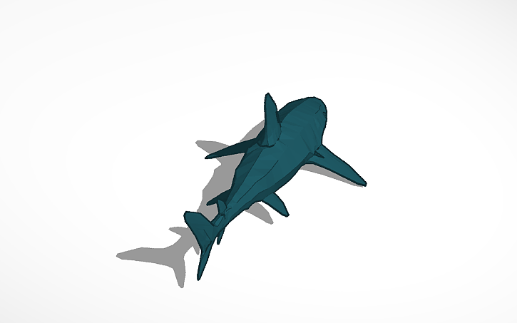 3D design shark - Tinkercad