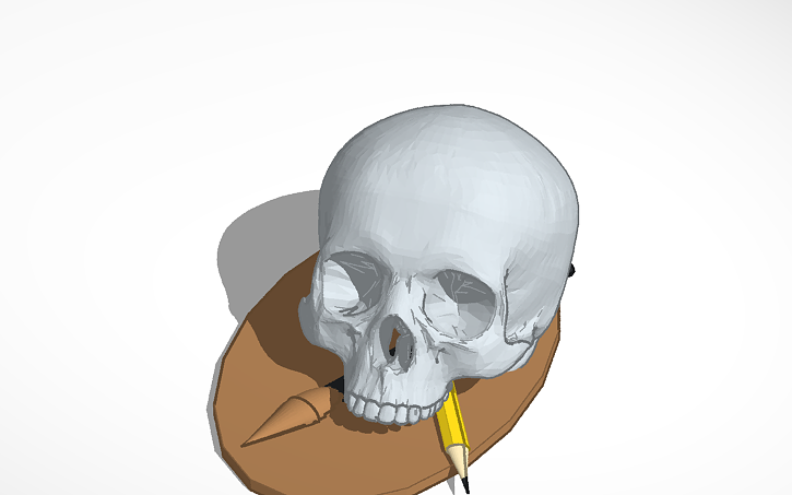 3D design Skull Nerd - Tinkercad