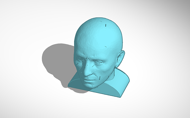 3D design Face - Tinkercad