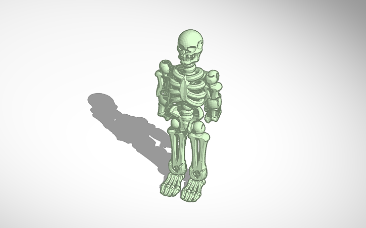 3D design Skeleton - Tinkercad