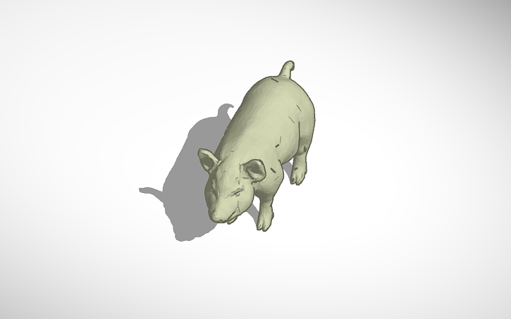3D design pig - Tinkercad