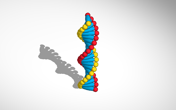 3D design DNA | Tinkercad