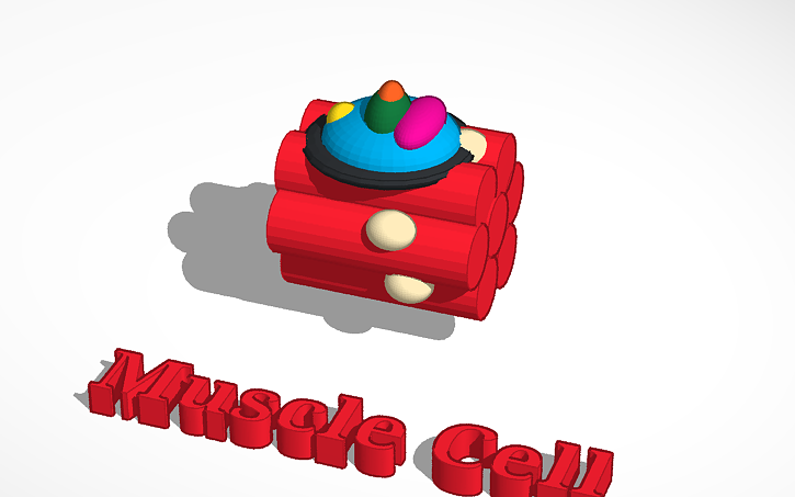 3D design Muscle Cell - Tinkercad