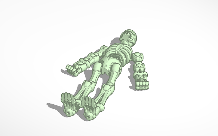 3D design Human Skeleton | Tinkercad