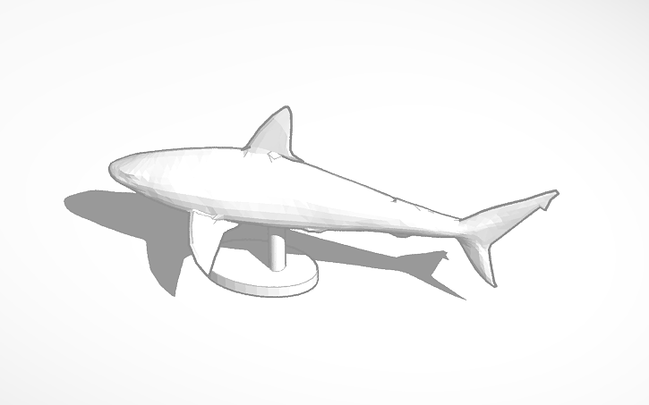 3D design Shark - Tinkercad
