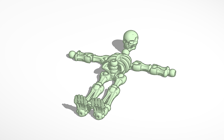 3D design Skeleton - Tinkercad